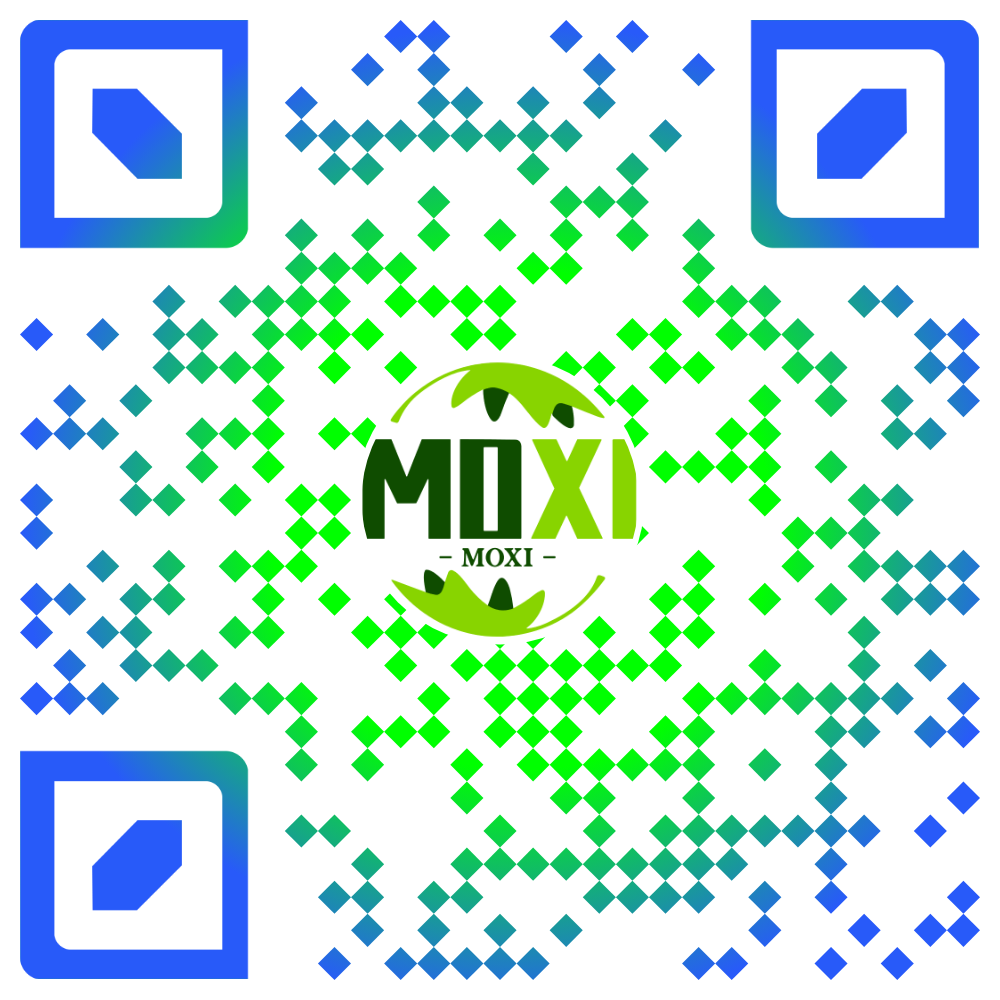 ATP-EMTP安装教程 - MOXI